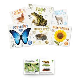 Life Cycles Book Pack | Educational Resources | Creative Activity